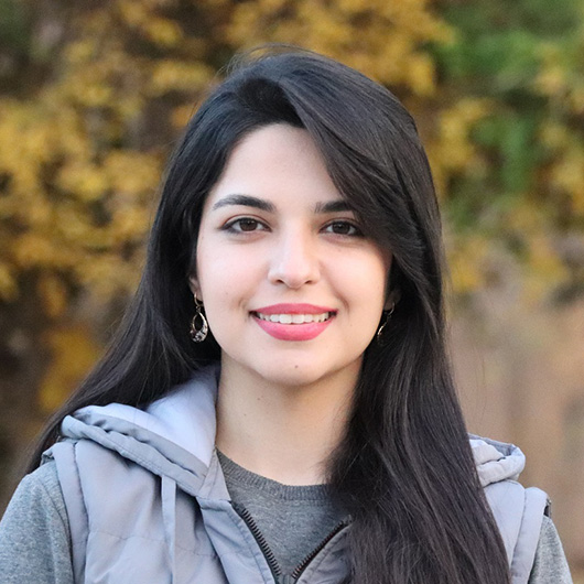 NARGES DEHGHAN – enlink